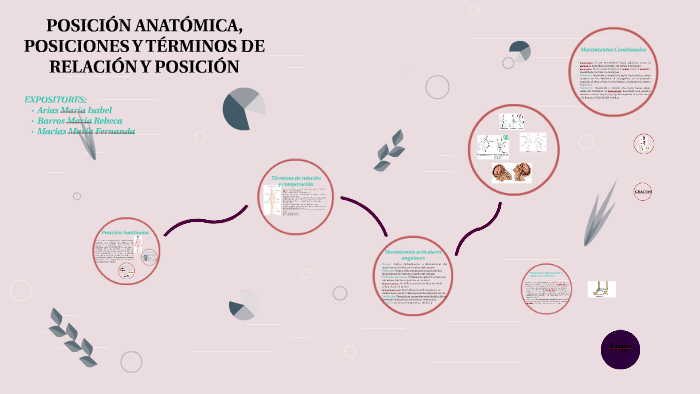 POSICIÓN ANATÓMICA, POSICIONES Y TÉRMINOS DE RELACIÓN Y POSI by mafe ...