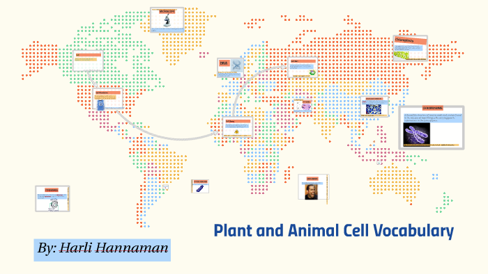 Plant and Animal Cell Vocabulary by Rose Everdew on Prezi