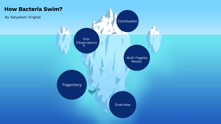 How Bacterias Swim by Satyakam Singhal on Prezi