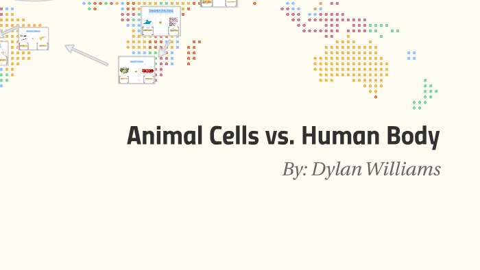 Human Cells vs. Human Body by Dylan Williams on Prezi