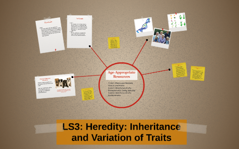 LS3: Heredity: Inheritance and Variation of Traits by Cady Jones on Prezi