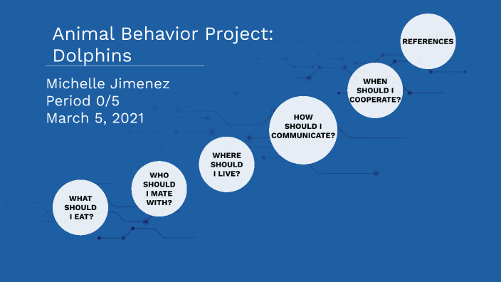 Animal Behavior Project: Dolphins by Michelle Jimenez on Prezi