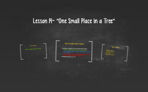 Lesson 14- "One Small Place in a Tree" by Tara Appel