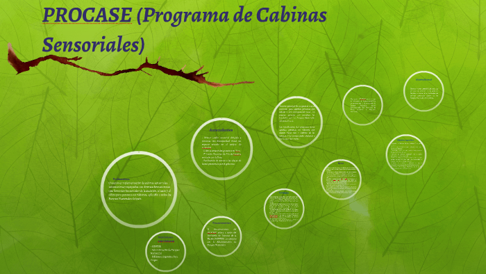 PROCASE (Programa de Cabinas Sensoriales) by Constanza Barberis on Prezi
