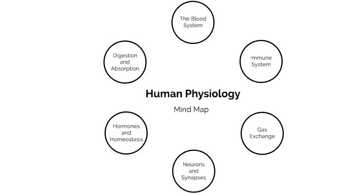 IB Biology Topic 6 Mind Map by Seth Hanks on Prezi