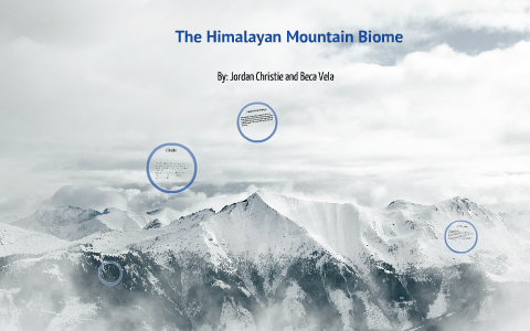 Himalayan Mountain Biome by Jordan Christie on Prezi