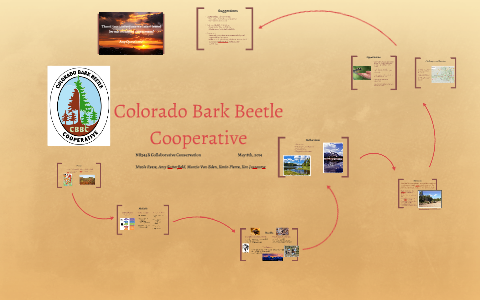 Colorado Bark Beetle Cooperative by Marcia Van Eden on Prezi
