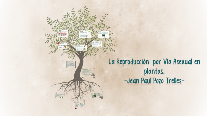 La Reproducción por Via Asexual en plantas. by Jean Paul Trelles on Prezi