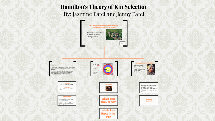 Hamilton's Theory of Kin Selection by Shivani Patel on Prezi