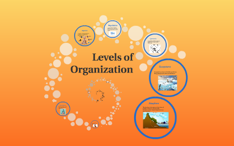 Levels of Organization by Stephen Edinger on Prezi