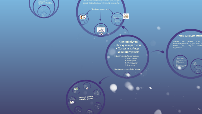 Чихний бүтэц by solongoo solongoo on Prezi