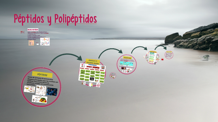 Péptidos y Polipéptidos by Antonella Fernandez on Prezi