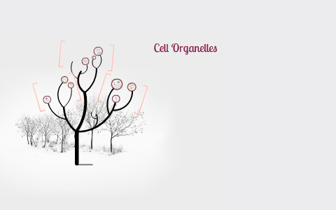 Cell Organelles by Quentin Melton