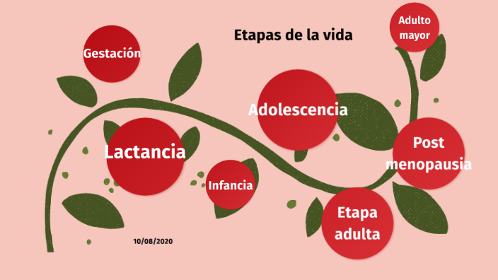 Etapas de la vida by izel nutricion on Prezi