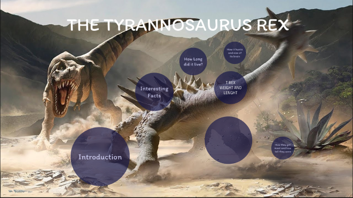 The T Rex by Norma Sheehan on Prezi