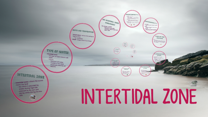 INTERTIDAL ZONE by g c on Prezi