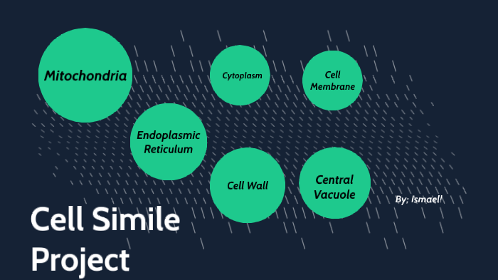 Cell Simile Project by Ismael Ahmad on Prezi