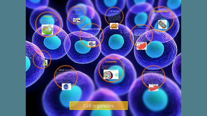 Cell organelles by aryan kalra on Prezi