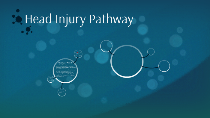 Head Injury Pathway by bella evans on Prezi