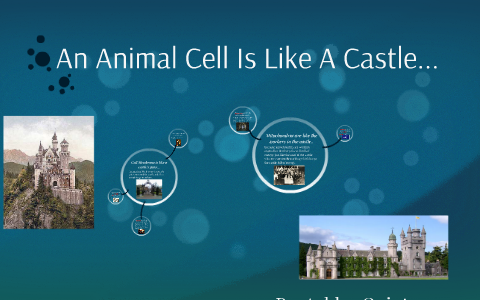 An Animal Cell Is Like A Castle by Ashley Quintero on Prezi