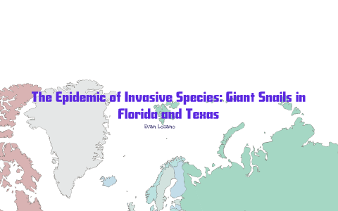 Epidemic of Invasive Species: Giant Snails in Florida and Texas by Evan ...