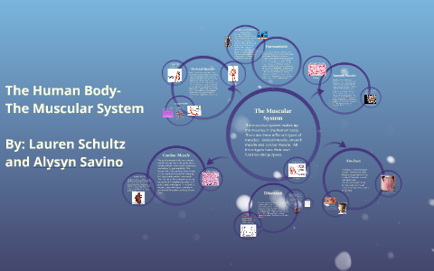 Biology-Muscular System by on Prezi