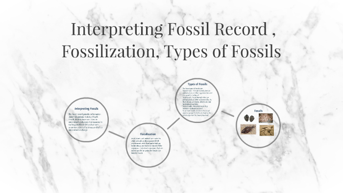 Interpreting Fossil Record , Fossilization, Types of Fossils by Chasity ...