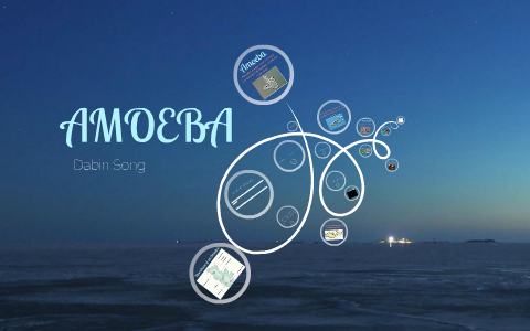 Amoeba by Song Dabin