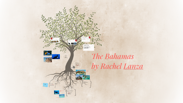 The Bahamas by Rachel Lanza on Prezi