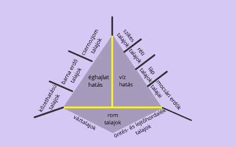Talajtípusok - IX. főcsoport (mocsári és ártéri erdők talajai by Rózsa ...