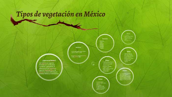 Tipos de vegetacion en Mexico by David Nochebuena Parra