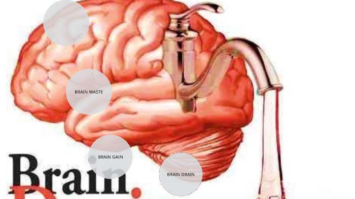 Brain Circulation Brain Drain Brain Gain And Brain Waste By Nina