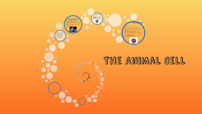 The Animal Cell by TenleySeanClarise kcs on Prezi