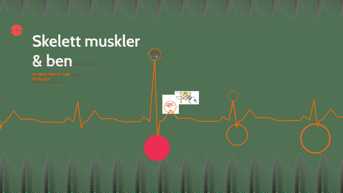 Skelett muskler ben by frida Holmqvist