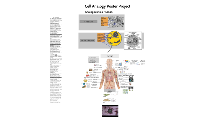 v1.1 Cell Analogy Poster Project by Daniel CH on Prezi