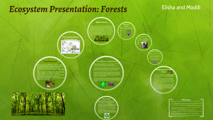 Ecosystem Presentation Forests By Elisha Bullen On Prezi