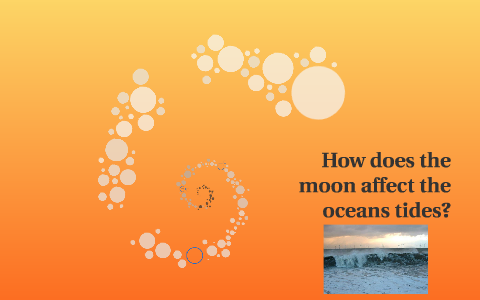How does the moon affect the oceans tides? by sydney driscoll on Prezi