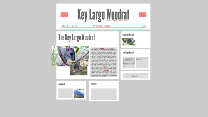 Key Largo Woodrat by Keaton Knopp on Prezi