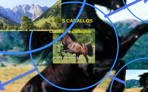 los caballos by henry camacho matiz