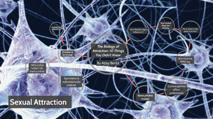 The Biology of Attraction: by Abby Bentz on Prezi
