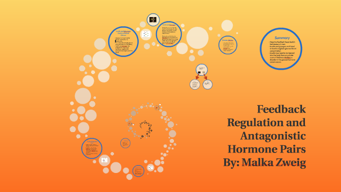 Negative feedback and Antagonistic Hormone Pairs (Insulin an by Malka ...