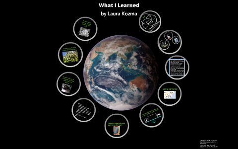 This Whole World by Laura Kozma