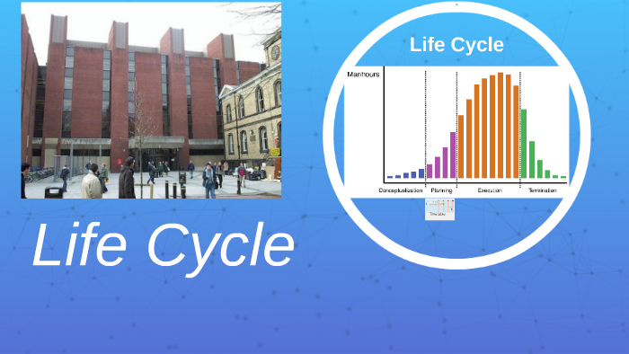 Life Cycle by Yang Tianming on Prezi