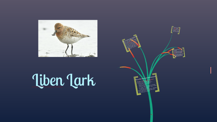 Liben Lark by Shravya Murali on Prezi