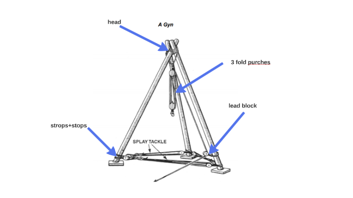 how to rig a gyn by imogen fuller on Prezi