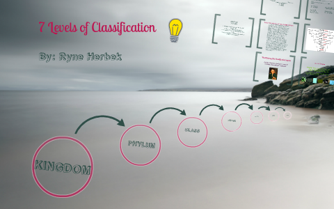 7 Levels of Classification by Ryne Herbek on Prezi