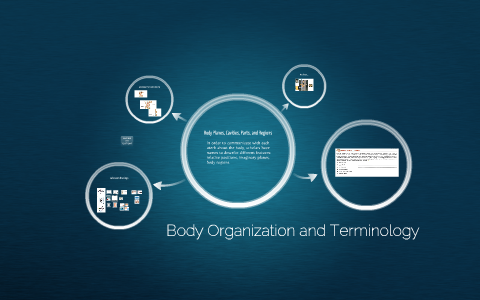The Human Body Day 2 - Body Organization and Terminology by Chioma ...