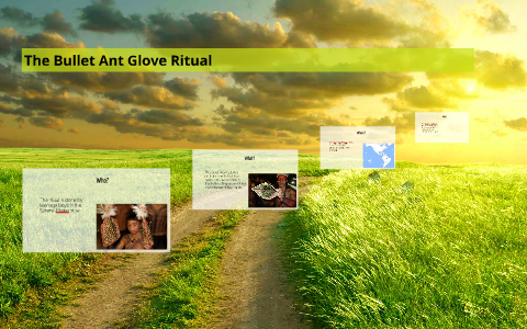 The Bullet Ant Glove Ritual by Josh Brittingham