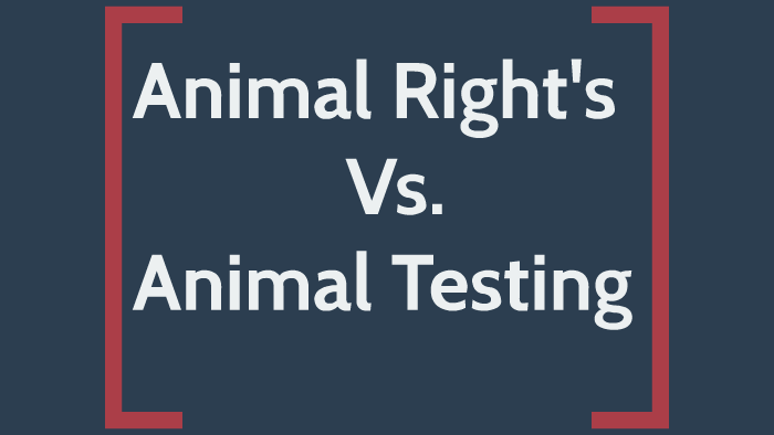 Animal Rights Vs Animal Testing by nickolas martin
