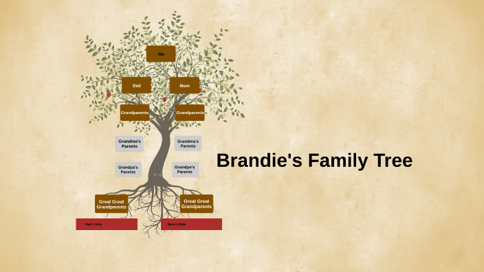 Brandie's Family Tree by Brandie Tobin on Prezi